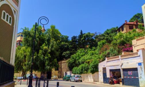 balade urbaines au sein d'un boulevard '' Bd Krim Belkacem. Alger'' by MESSAADIA Lilia - Issuu