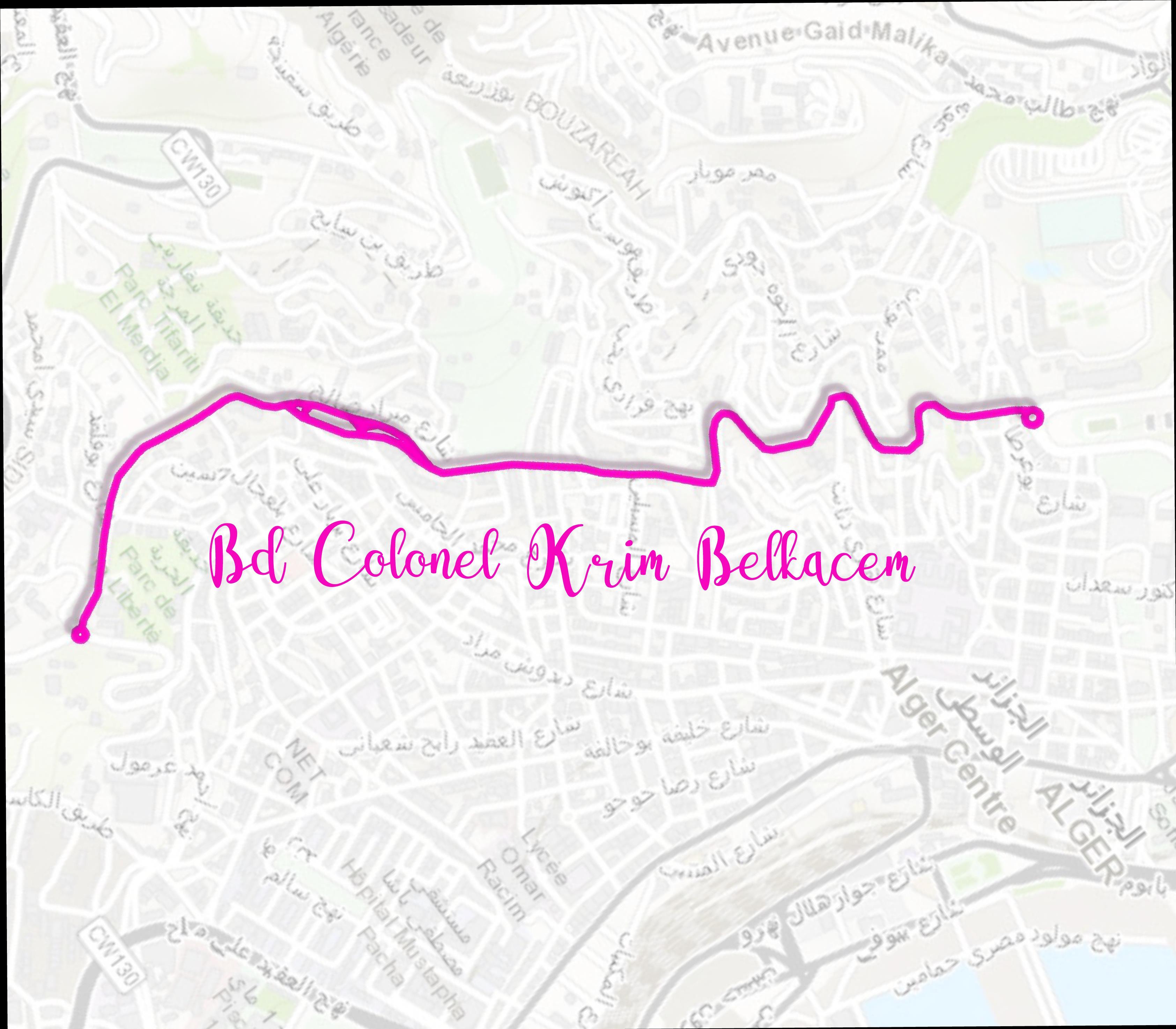 balade urbaines au sein d'un boulevard '' Bd Krim Belkacem. Alger'' by MESSAADIA Lilia - Issuu