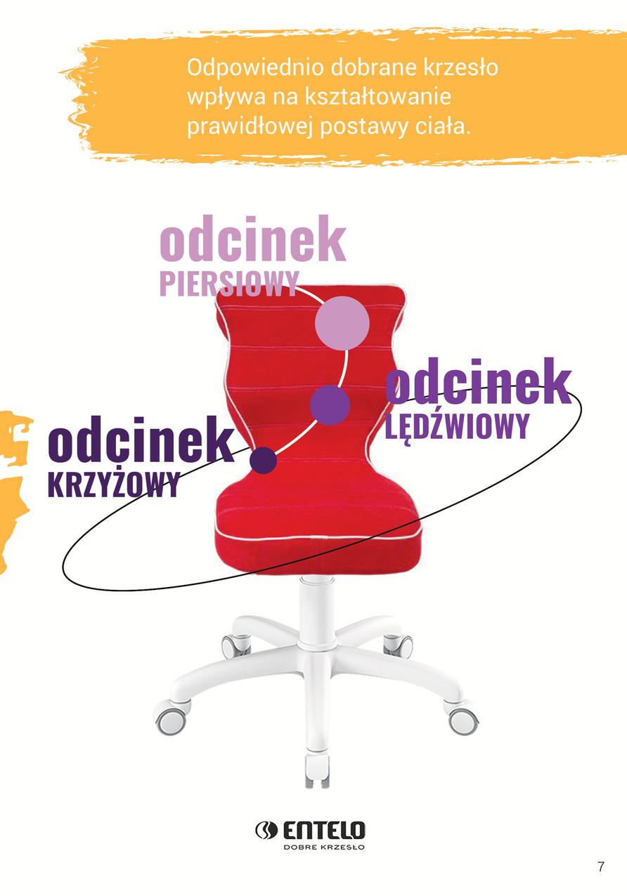 ENTELO 2021/2022 - Katalog młodzieżowy by Entelo - Issuu