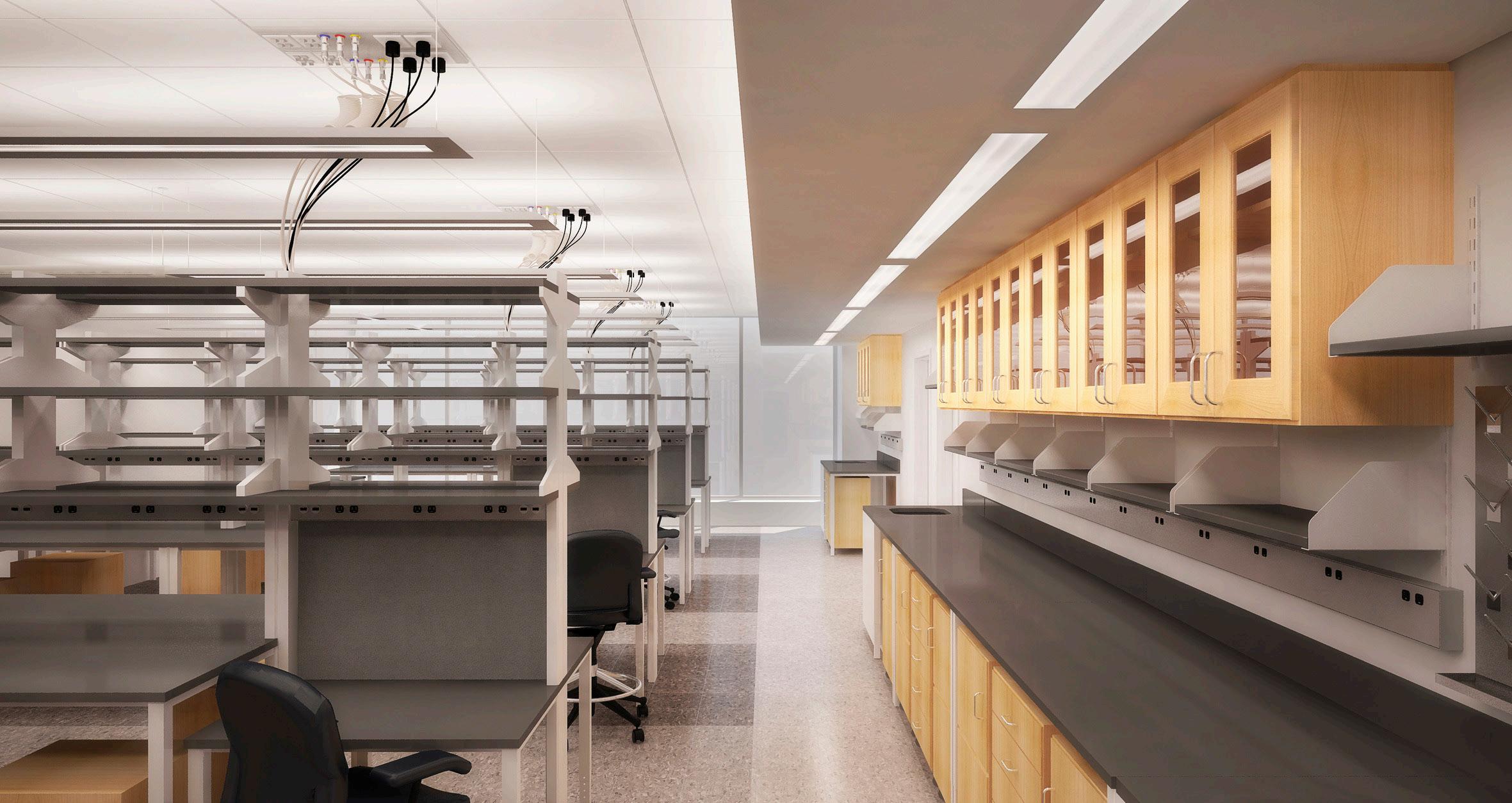 Perkins Eastman: Clinical & Diagnostic Laboratories Brochure by Perkins ...