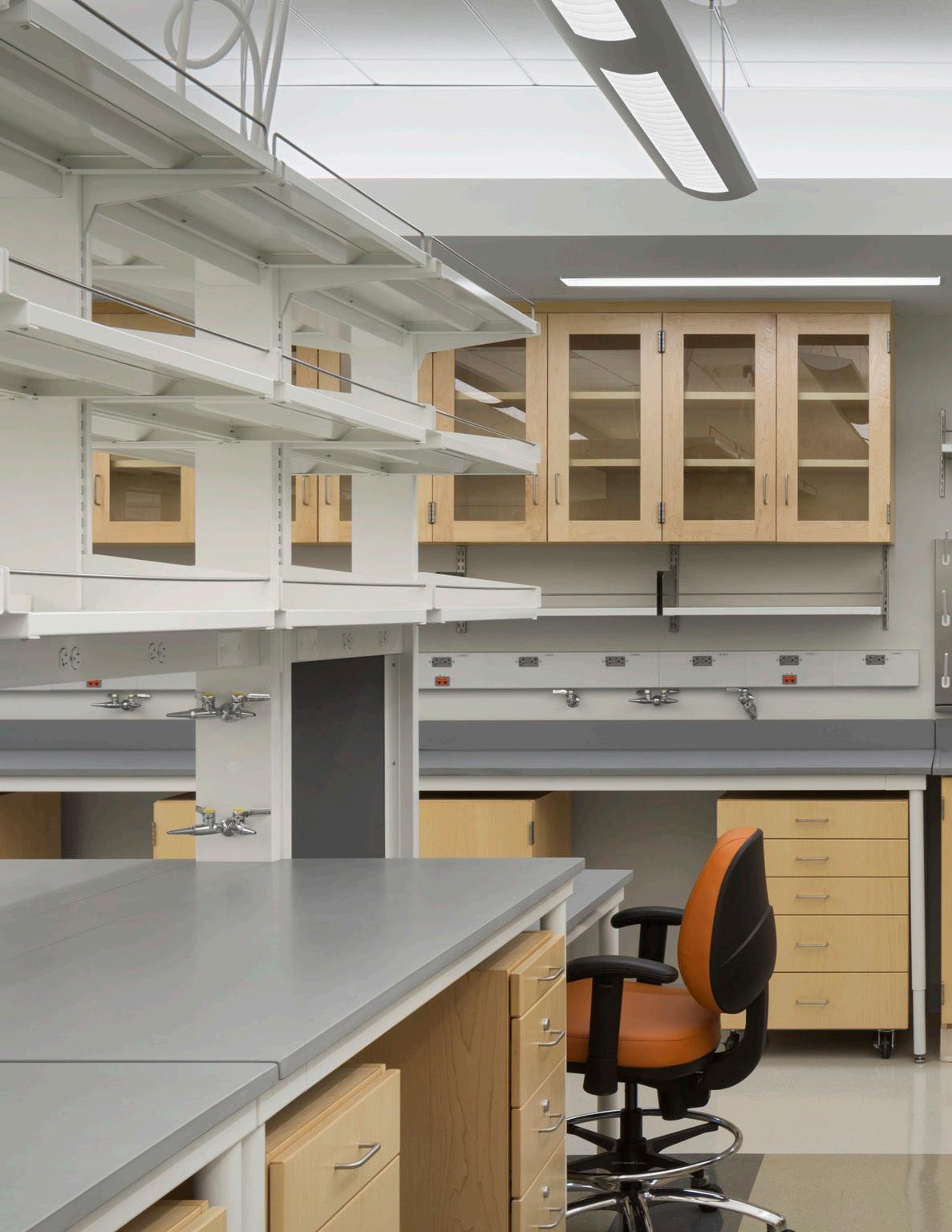 Perkins Eastman: Clinical & Diagnostic Laboratories Brochure by Perkins ...