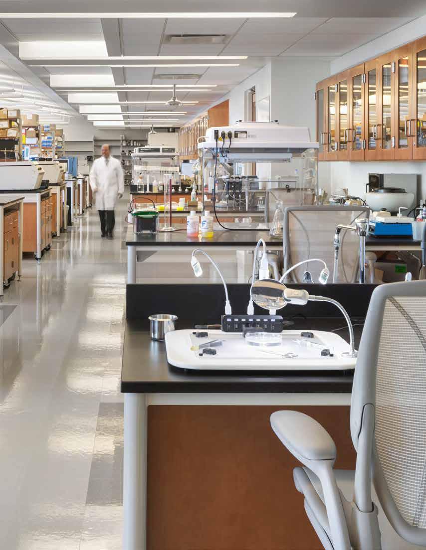 Perkins Eastman: Lab/Office Buildings - Market and Design Guidelines by ...