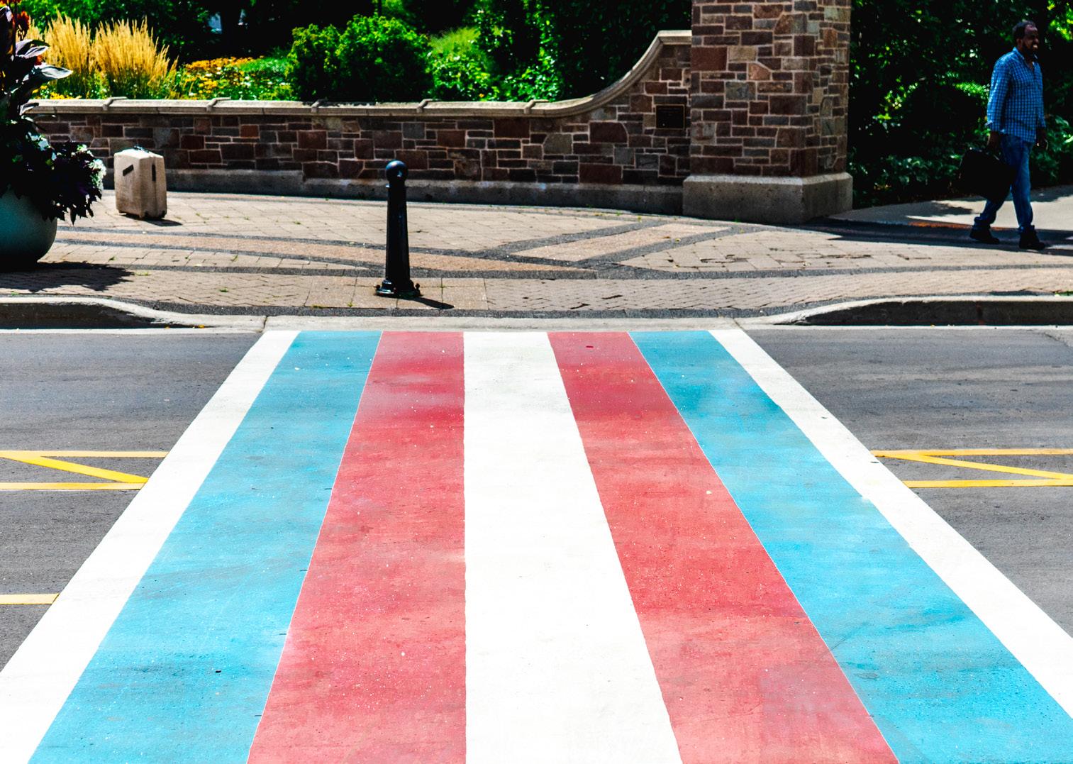 A Field Guide to DTK's Art Walk by Downtown Kitchener - Issuu