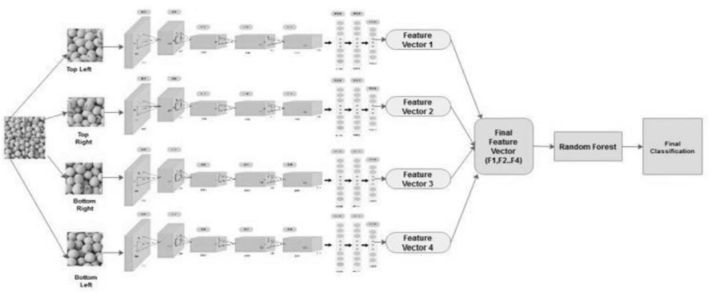 Literature Survey on Grain Type Prediction Using Machine Learning by ...