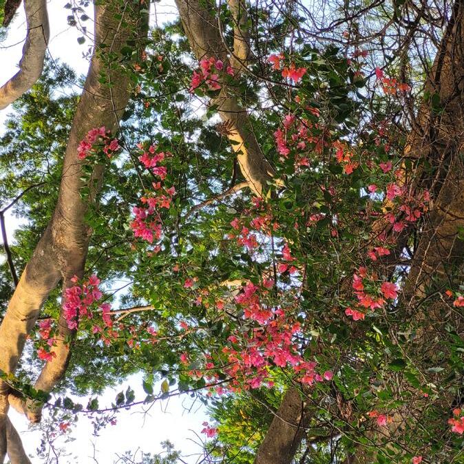 Portfolio of Design Studio I by Samarat Islam - Issuu