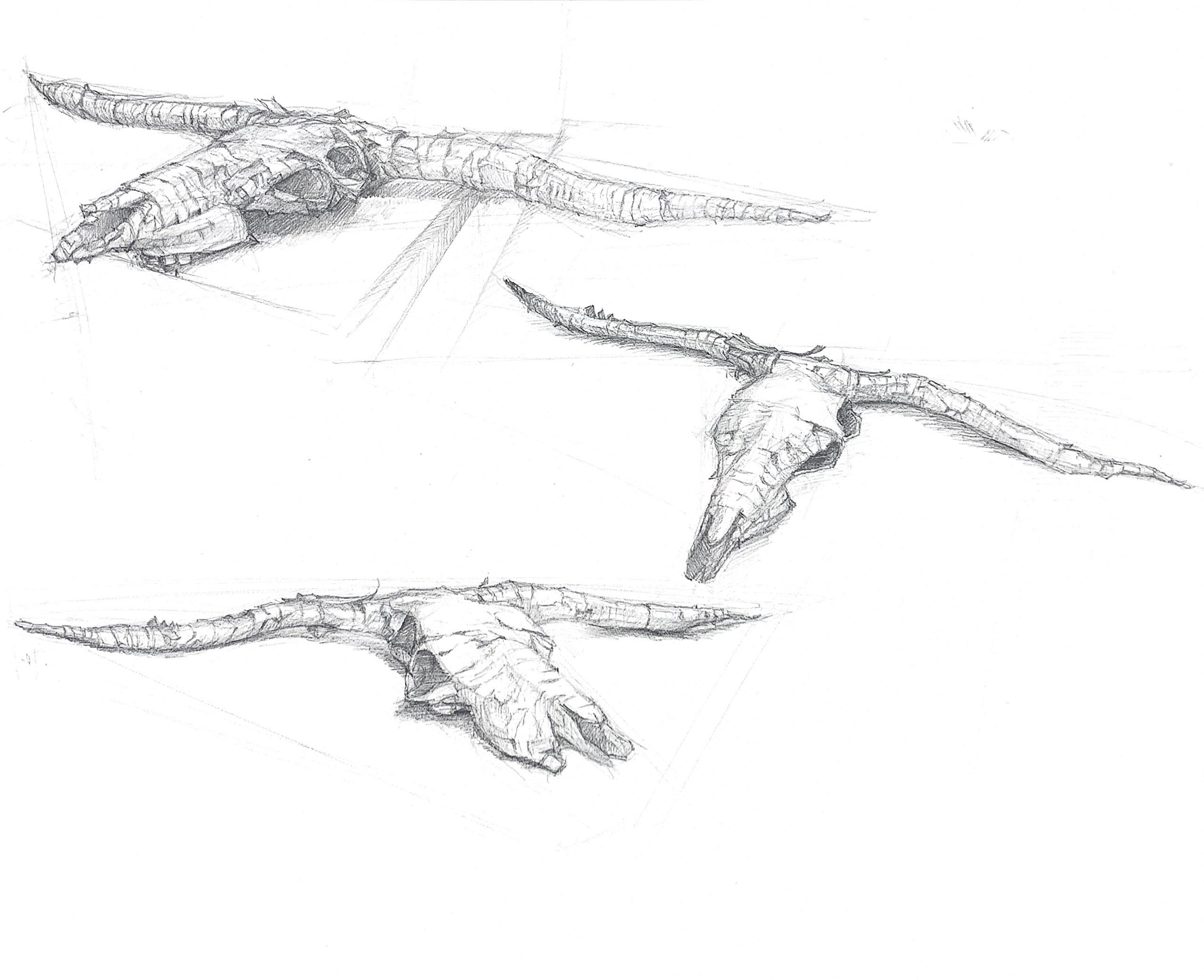 Yida Li Selected Works Spring 2023 by Yida Li - Issuu