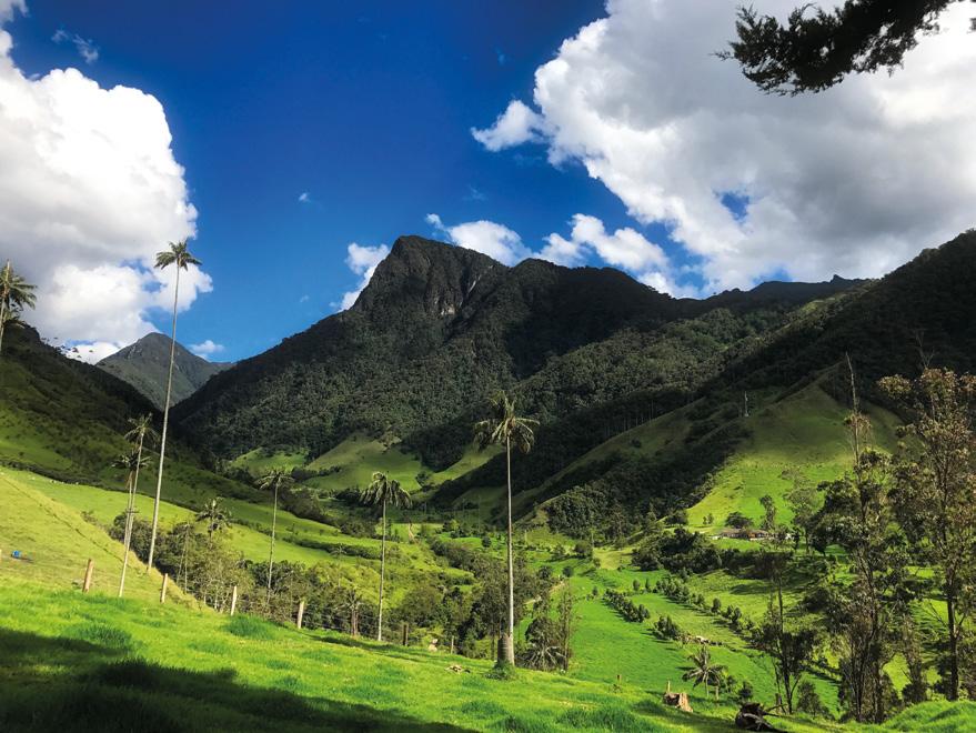 Cambiando el Rumbo 2023 by CECODES Desarrollo Sostenible - Issuu