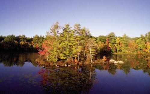 Cabin on Long Pond by New Hampshire's Finest Real Estates - Issuu