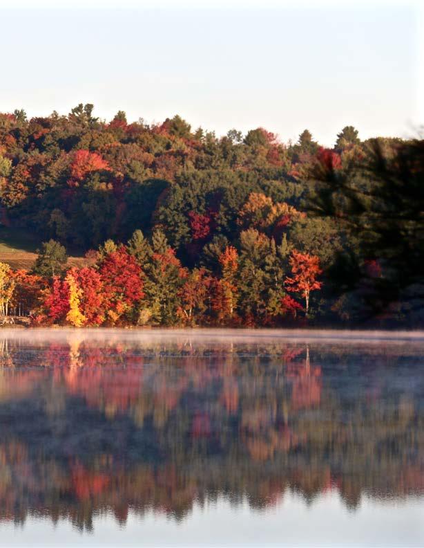 Cabin on Long Pond by New Hampshire's Finest Real Estates - Issuu