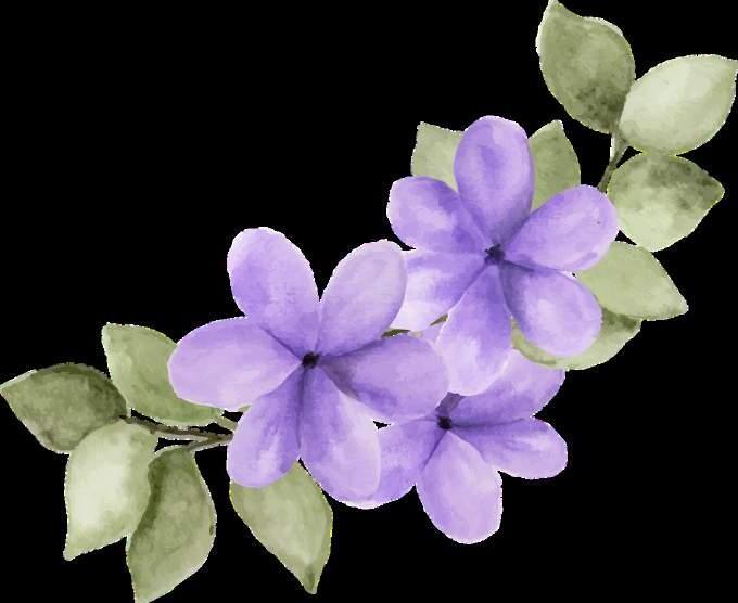 Mar 2023 Newsletter by isabel.lemus - Issuu