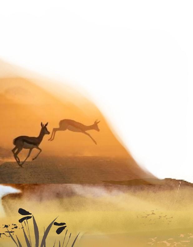 Gazelle book by V_Ksenia - Issuu