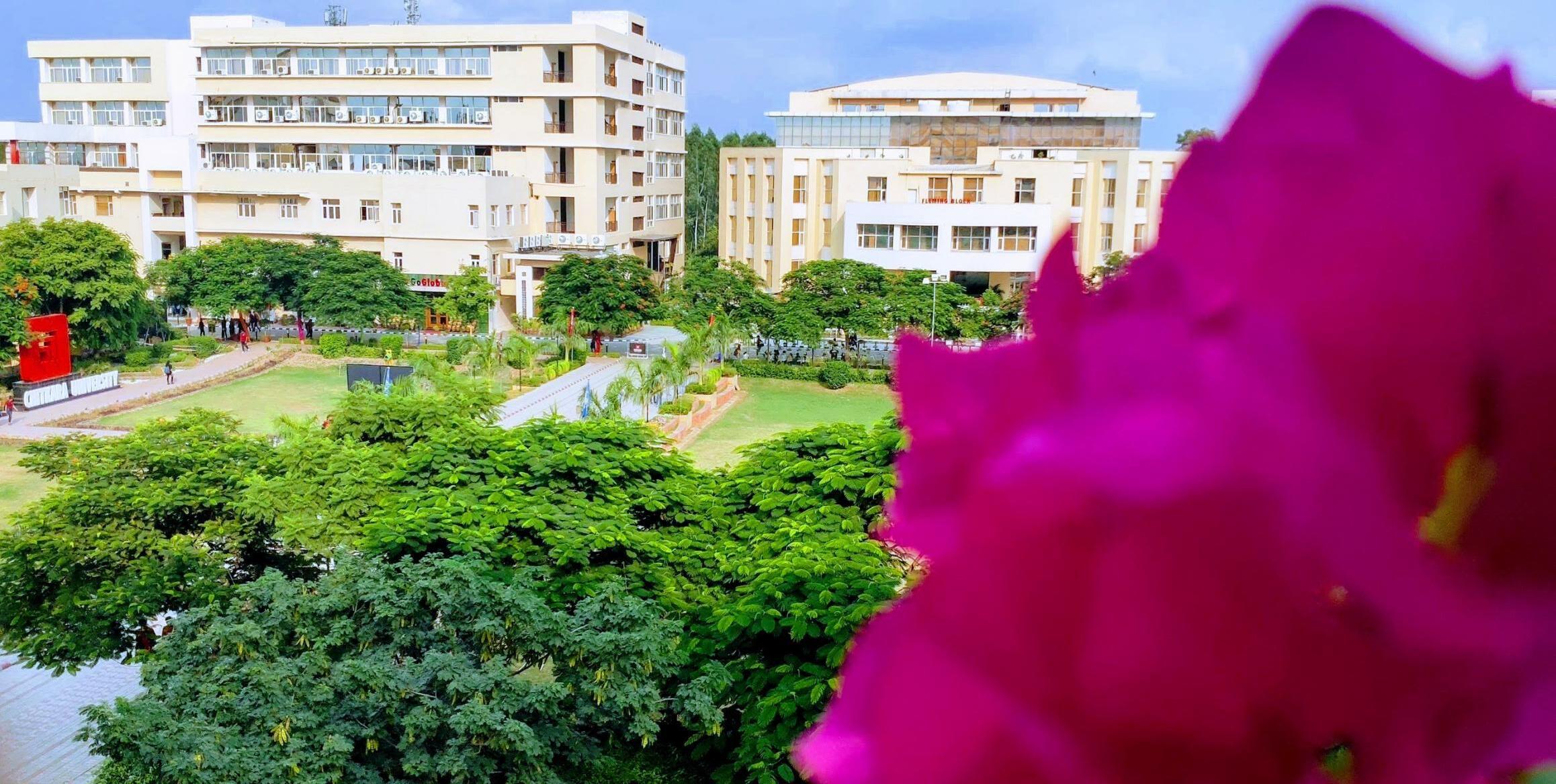 MUSKAN GARG | CHITKARA SCHOOL OF PLANNING AND ARCHITECTURE ...