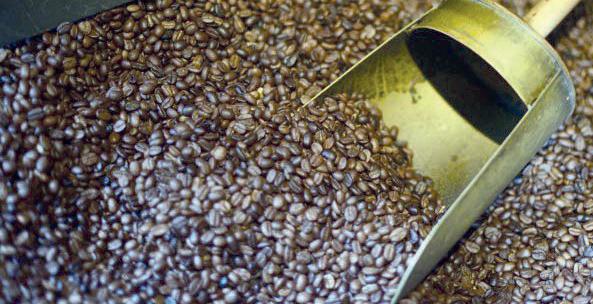 El Heraldo de Xalapa 3 de Abril de 2023 by poza_acme - Issuu