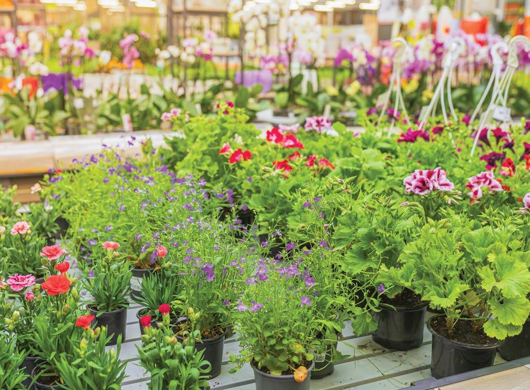 HealthScope Magazine Spring 2023 by CityScope & HealthScope Magazines ...