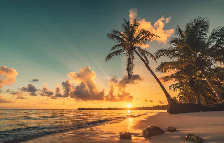 Brighter Magazine Spring 2023 by brightermagazine - Issuu