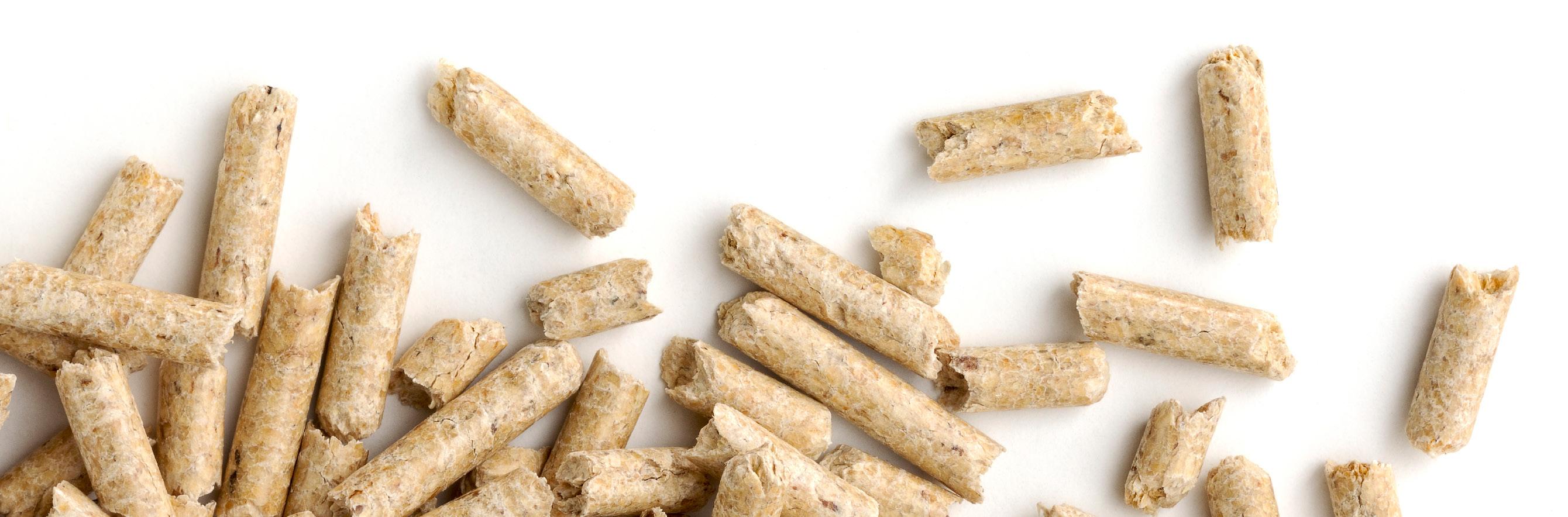 Biocombustibili - Sun Pellet - pellet Baltico per riscaldamento - Ed ...