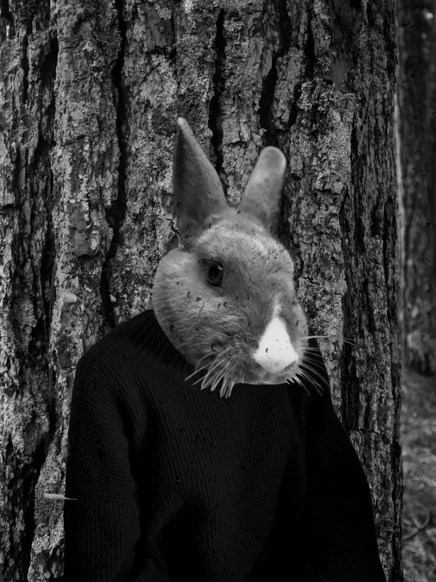 Bitácora de trabajos-Daniel Castro by DANIEL ANDRES CASTRO BRENES - Issuu