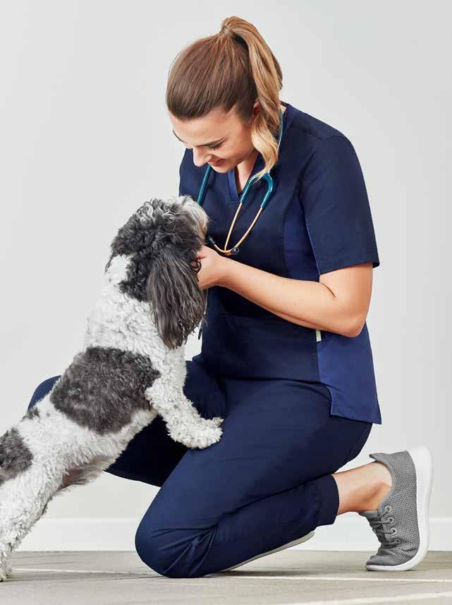 Biz Collection Catalogue by galaxy_catalogues - Issuu