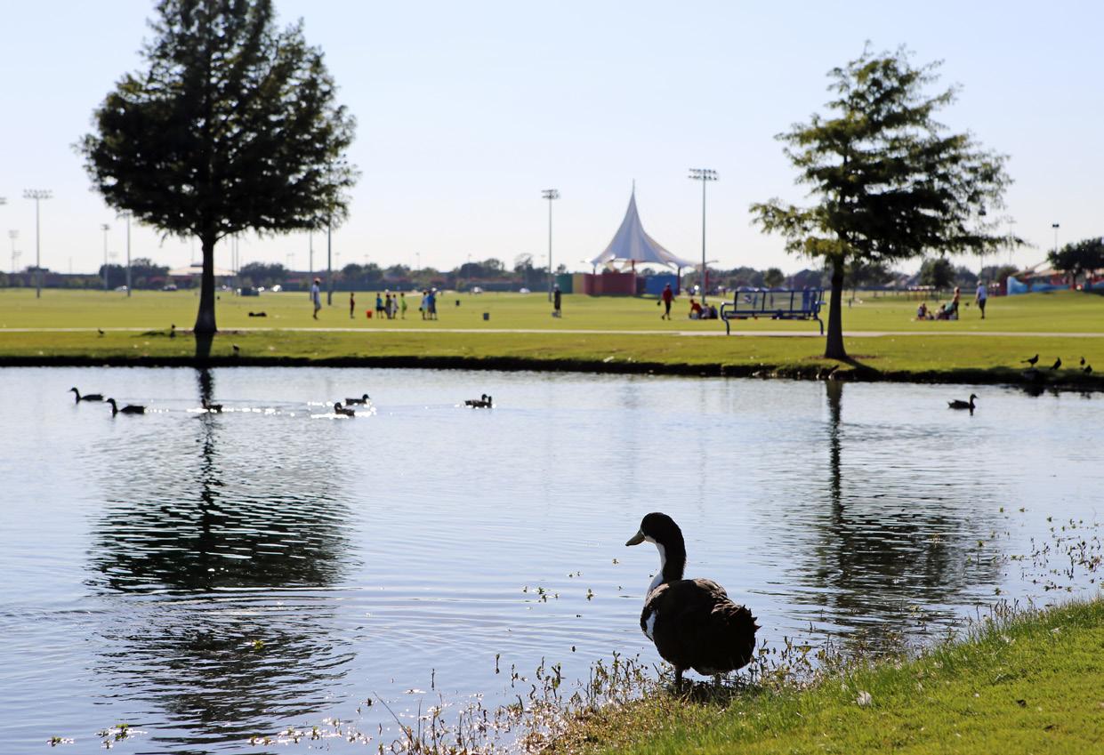 City of Allen Parks, Recreation, and Open Space Master Plan (2021-2031 ...