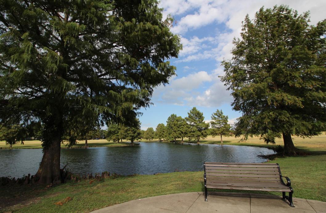 City of Allen Parks, Recreation, and Open Space Master Plan (2021-2031 ...