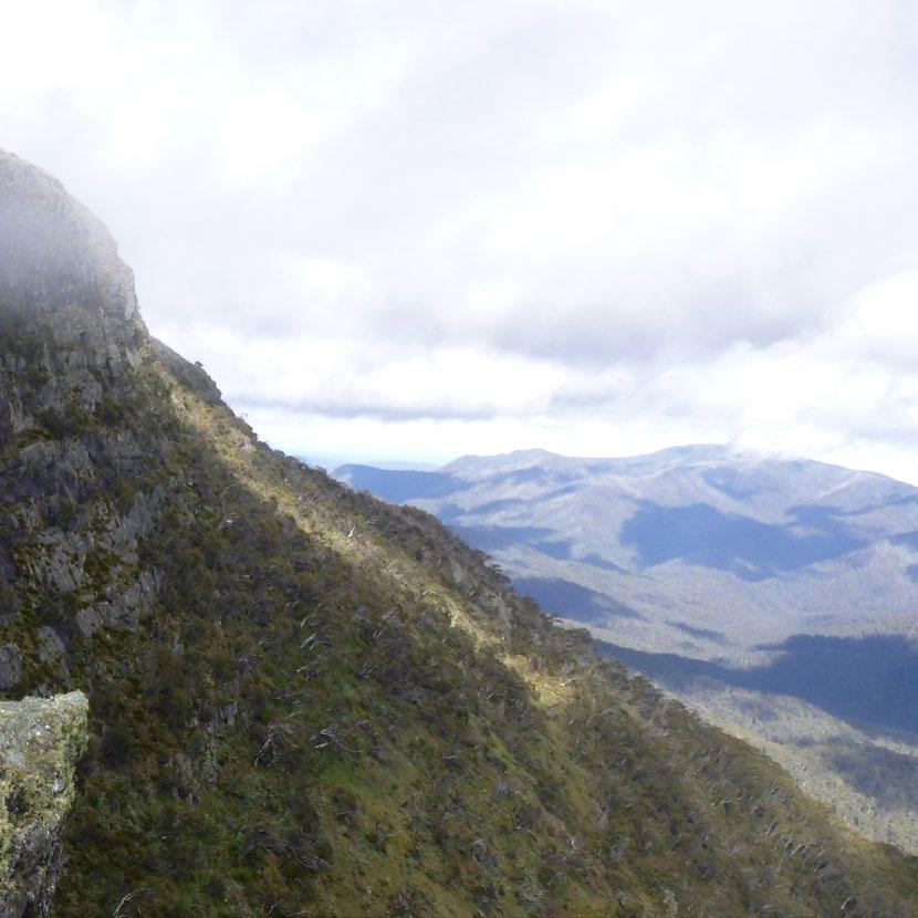 Howqua Prospectus by Lauriston Girls' School - Issuu