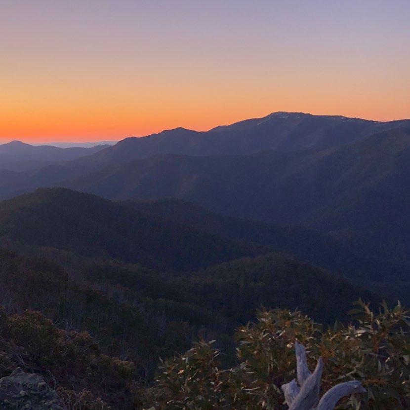 Howqua Prospectus by Lauriston Girls' School - Issuu