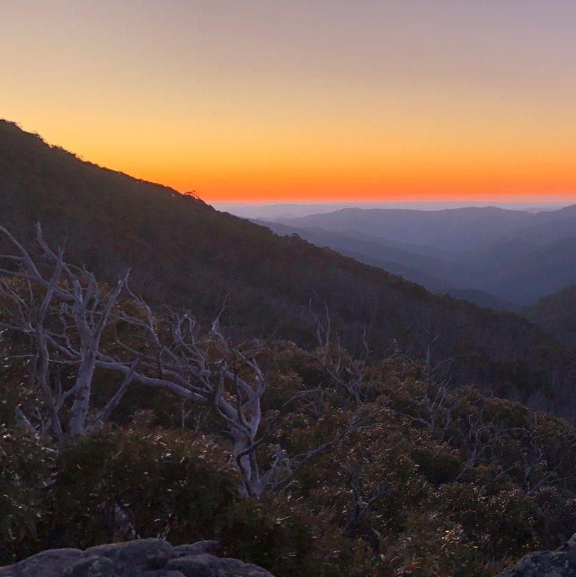 Howqua Prospectus by Lauriston Girls' School - Issuu