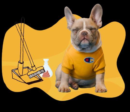 Say Goodbye to Poop-Related Stress: Why You Need a Professional ...