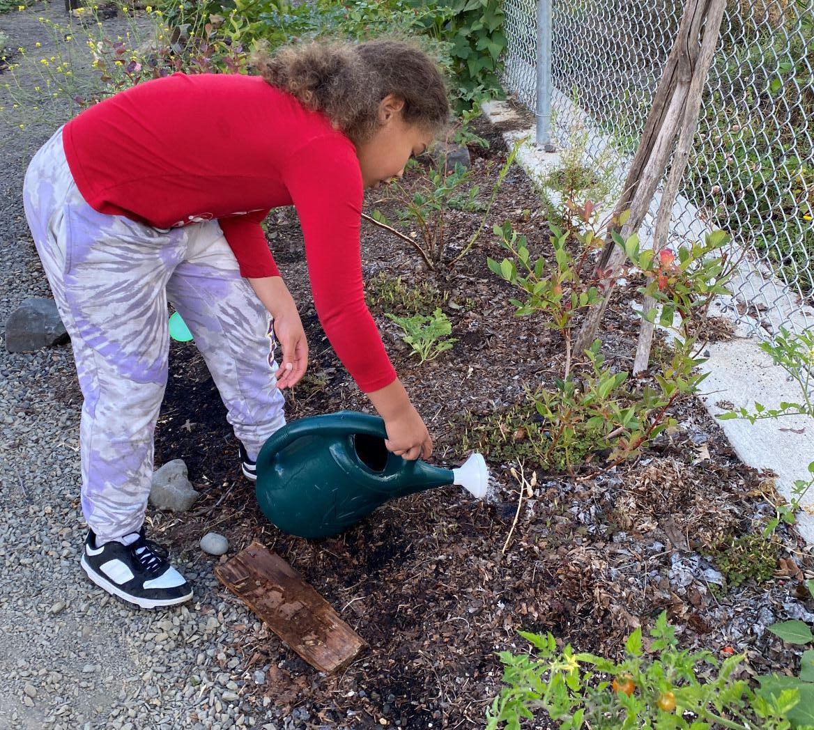 Turtle Tree Seed’s Contributions to a Greater Root System - Issuu