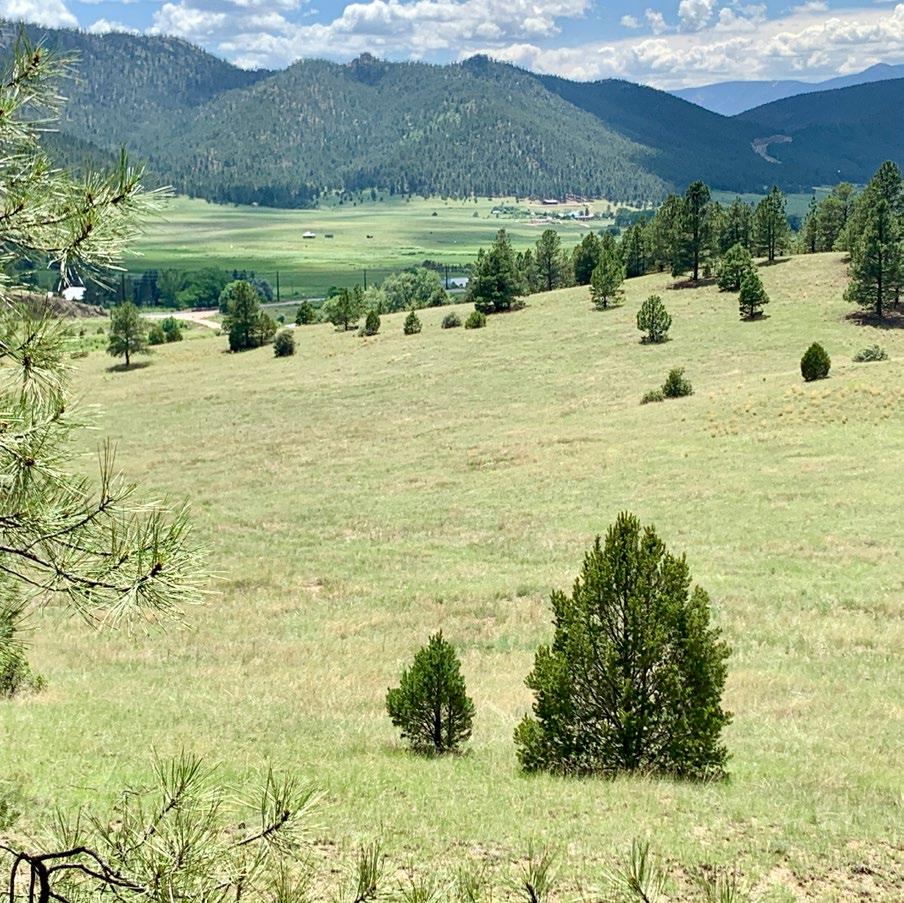 Romero Hills Ranch | Fay Ranches by Fay Ranches - Issuu