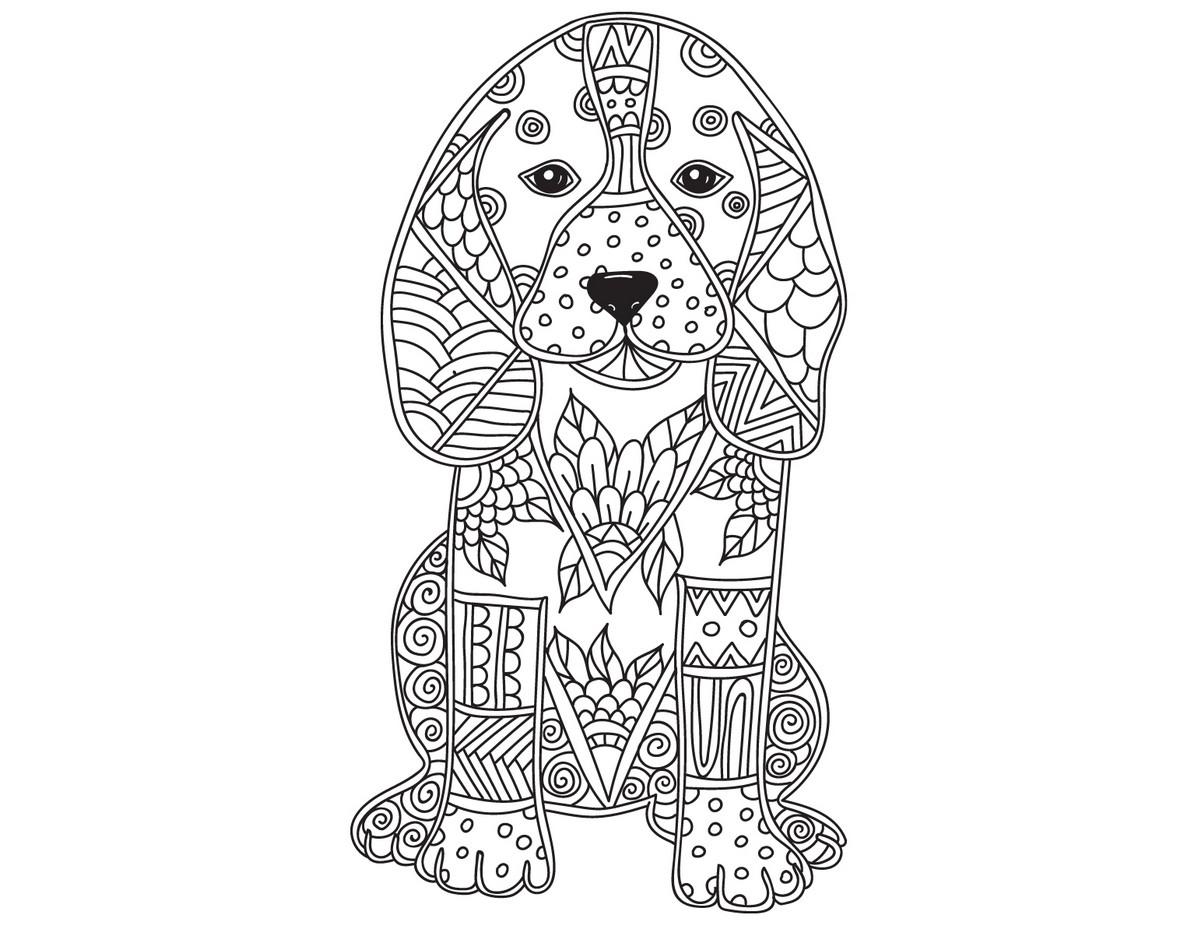 Global Pet Cab: Your Trusted Pet Transport Service by Global Pet Cab ...