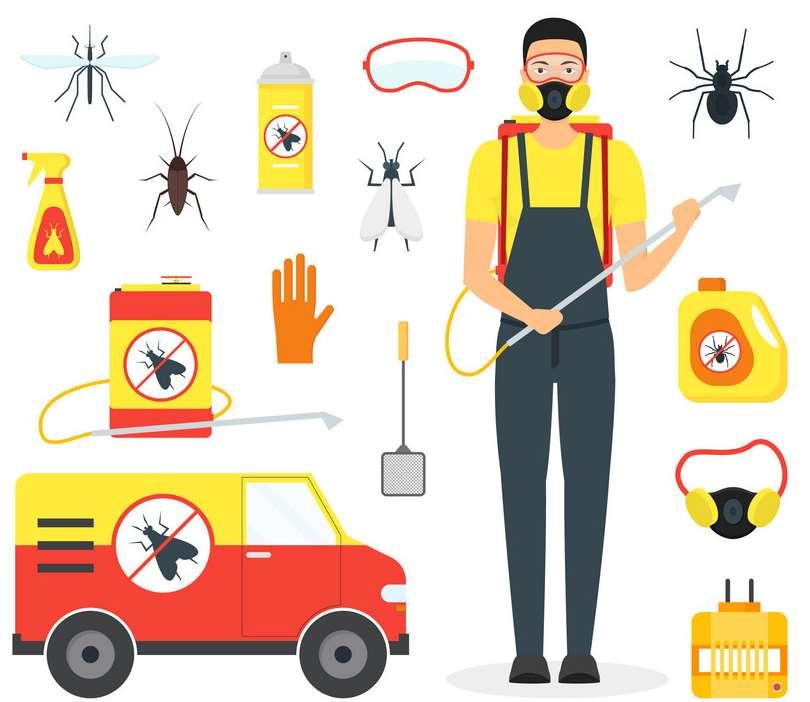 Pest Control in Dubai by Southernexpress - Issuu