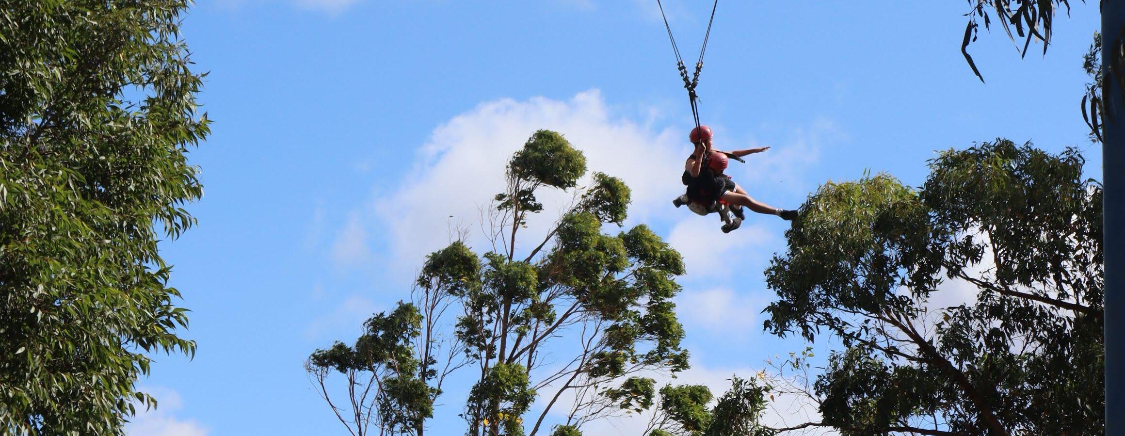 Northside Newsletter ~ 'The Vine' ~ Term 1 Issue 2, 2023 by Northside ...