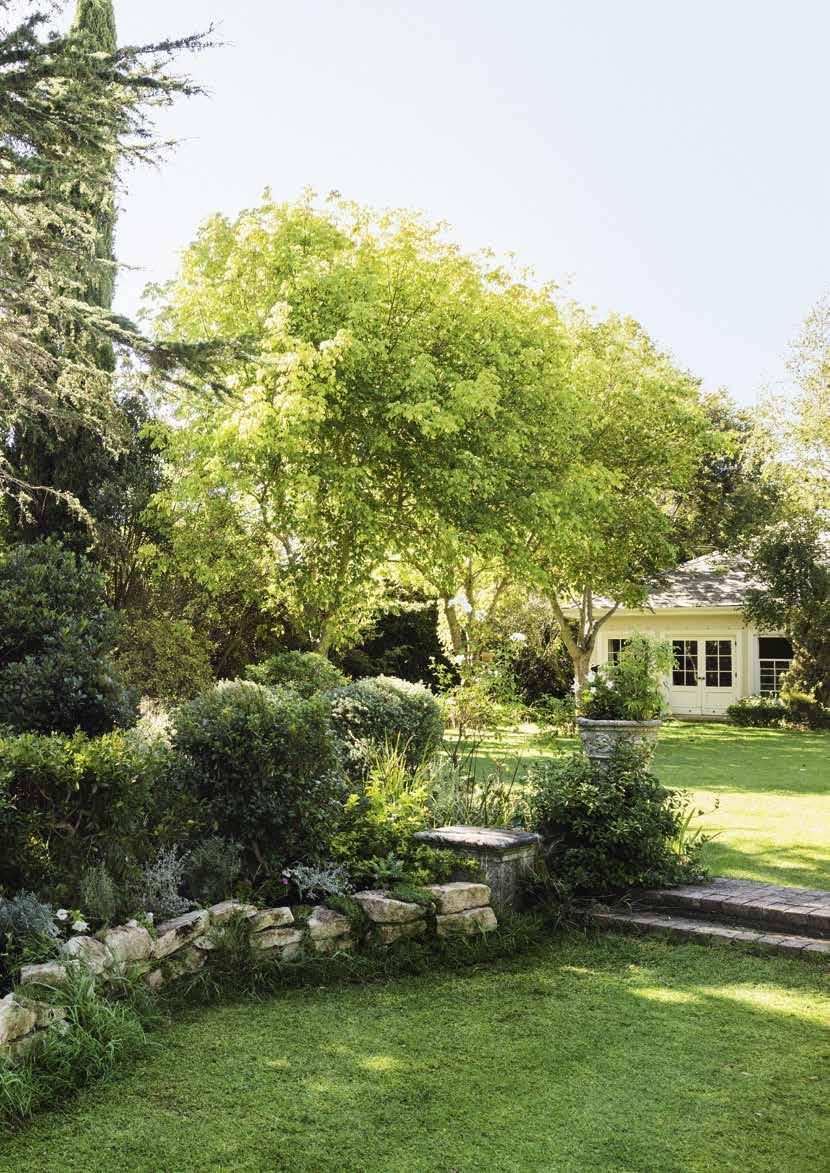 Promocions primavera Stihl by mecanocamp - Issuu