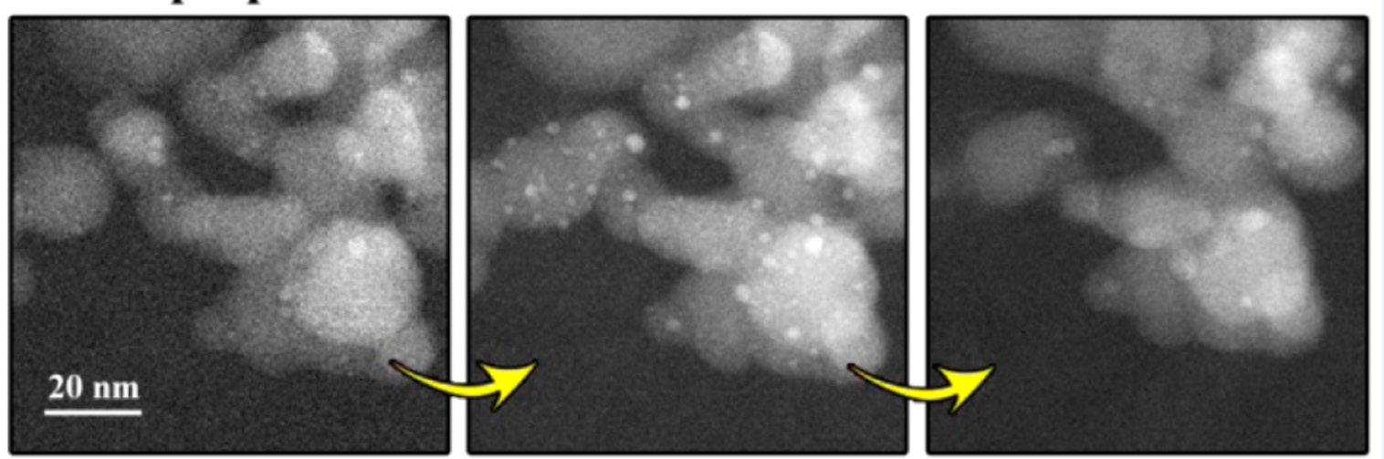 Atmosphere AX Brochure by Protochips - Issuu