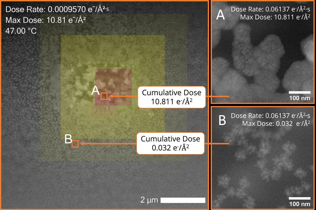 Atmosphere AX Brochure by Protochips - Issuu
