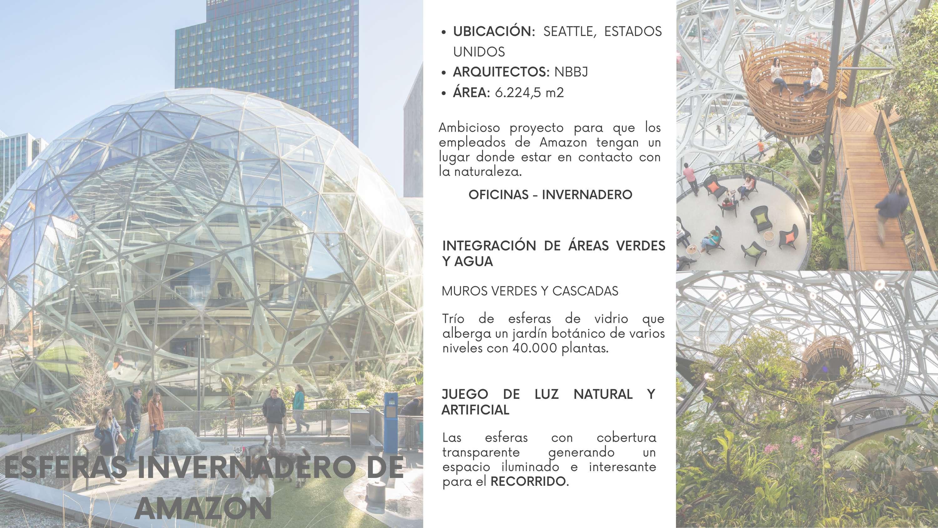 TALLER ARQUITECTONICO VI - G4 - NEURO ARQUITECTURA - UPAO by Enzo Vega - Issuu