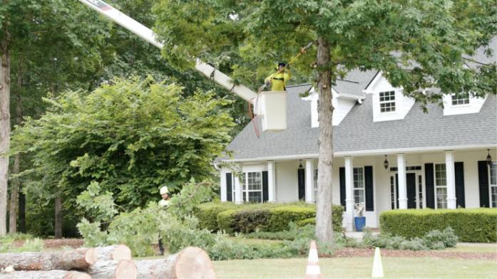 AKA Tree Service: Swift Response and Safe Solutions in Emergencies by ...