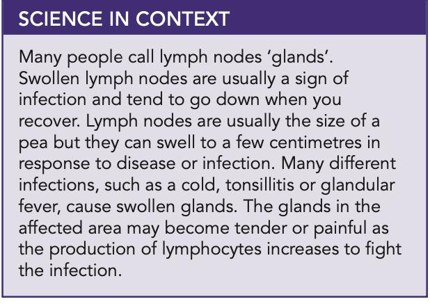 Science in context feature - Issuu