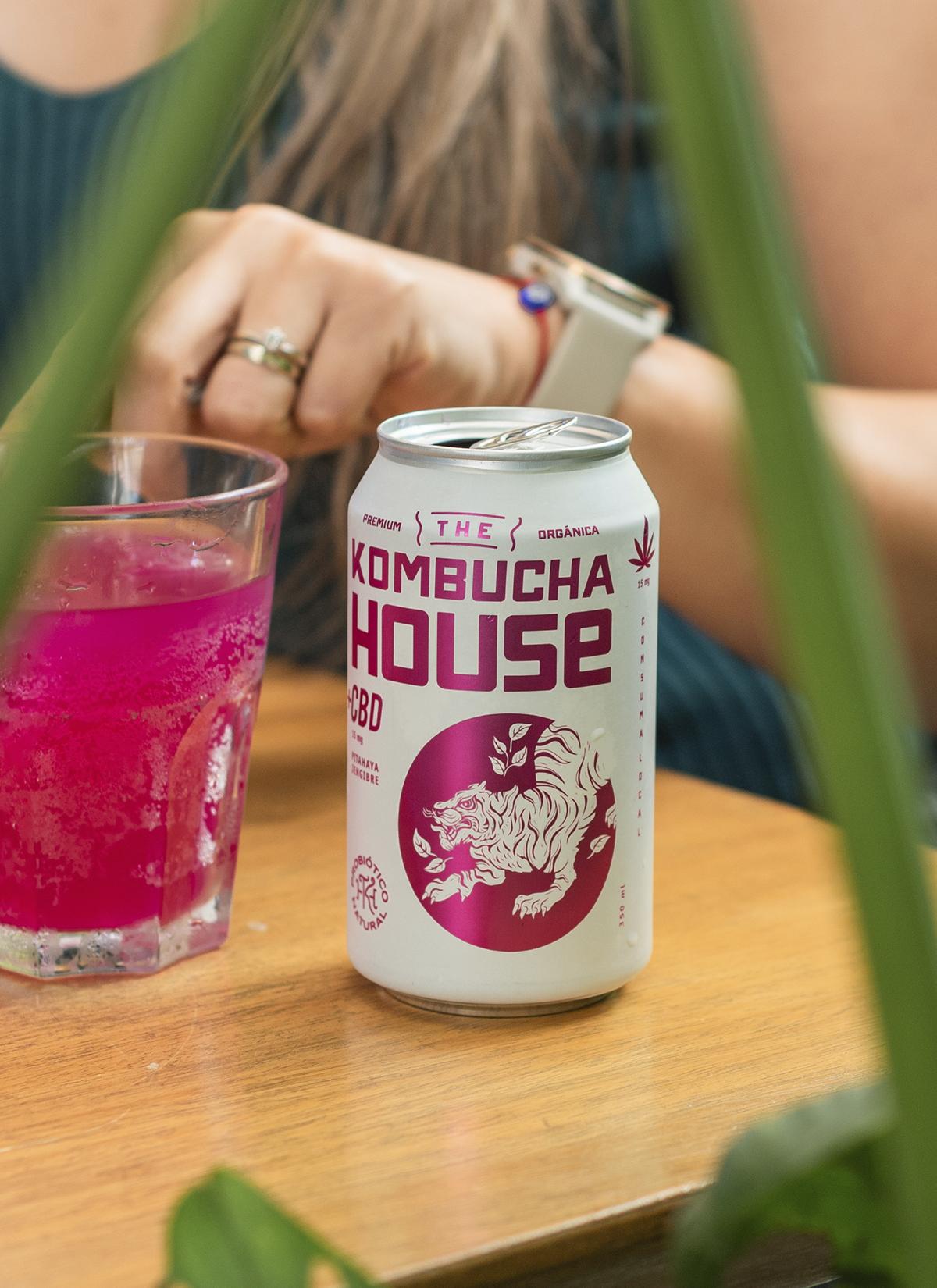 catalogo kombucha 2 by rodiney corrales - Issuu