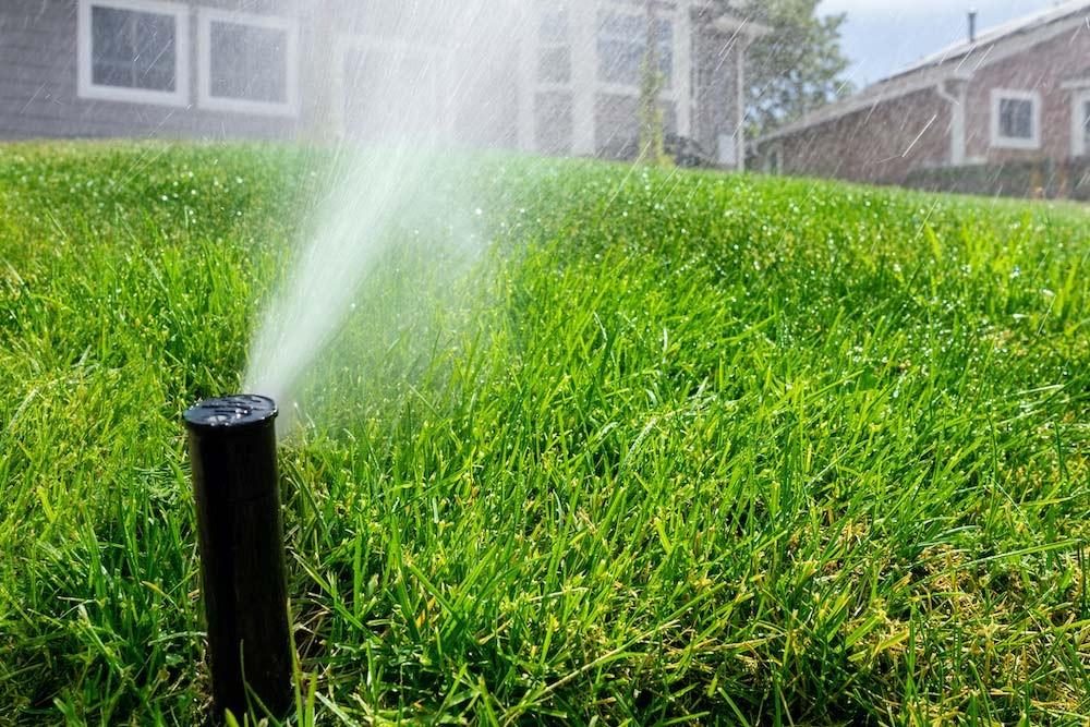 Cut above tree service in Houston by LGMPatios - Issuu