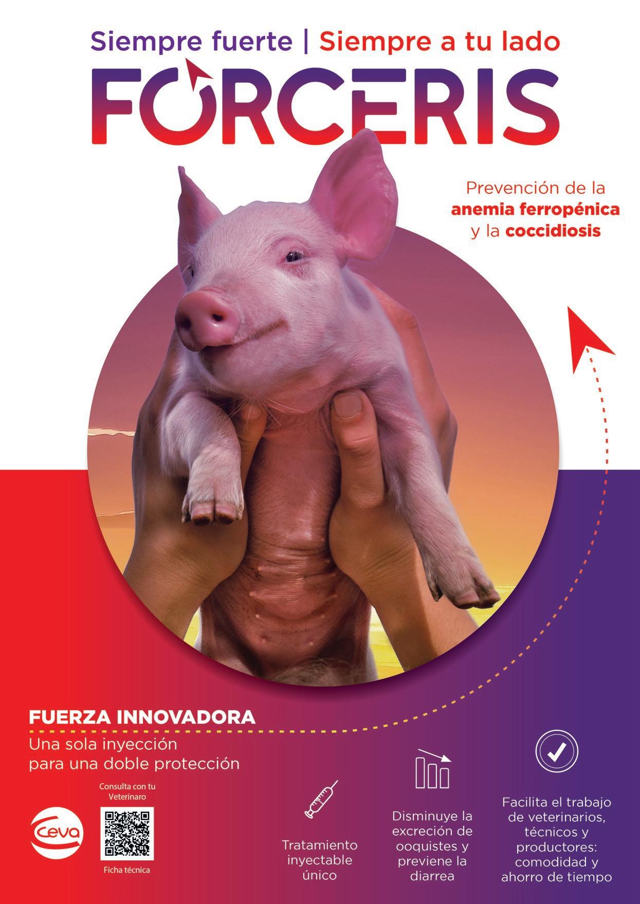 Influencia del método de aplicación de productos de hierro y ...