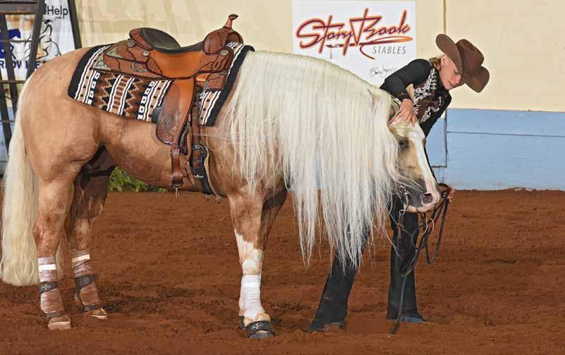 HEULE REININ HORSES - Issuu