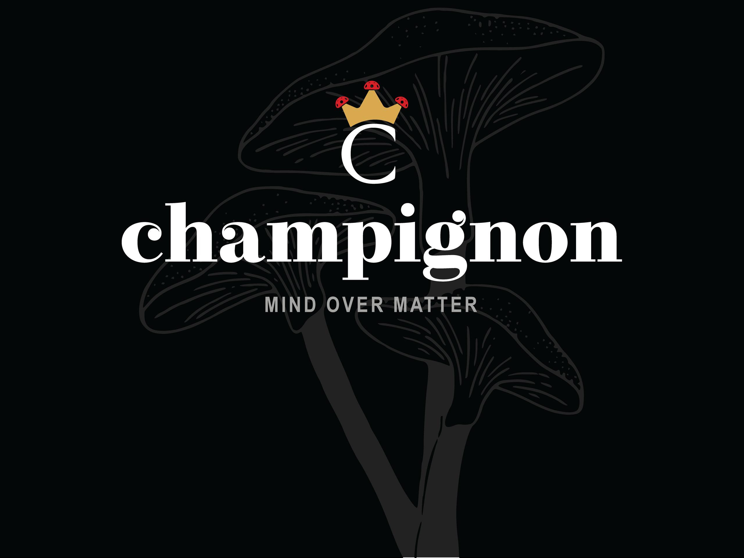 Champignon Catalog 2023 by Champignonbrand - Issuu