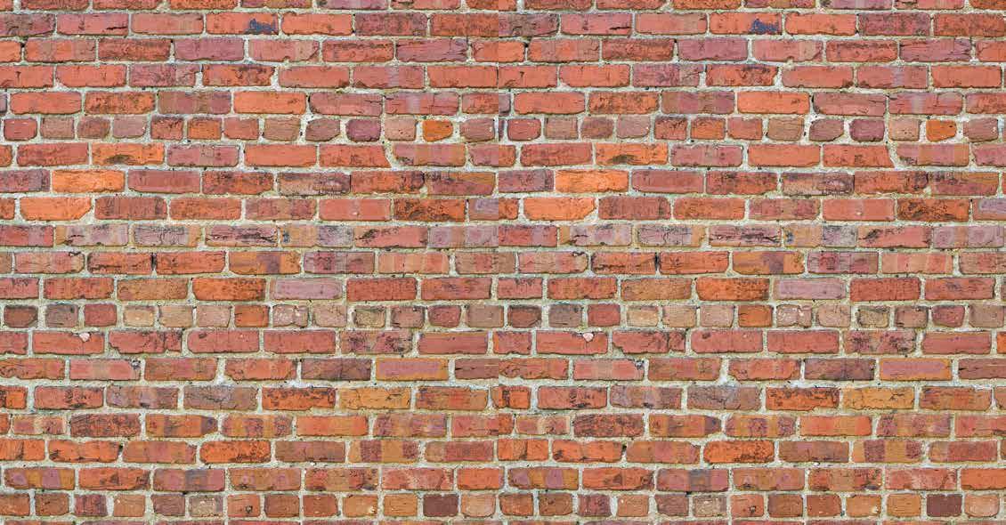 Blue Parrot RV Resort by AGS/Texas Advertising - Issuu