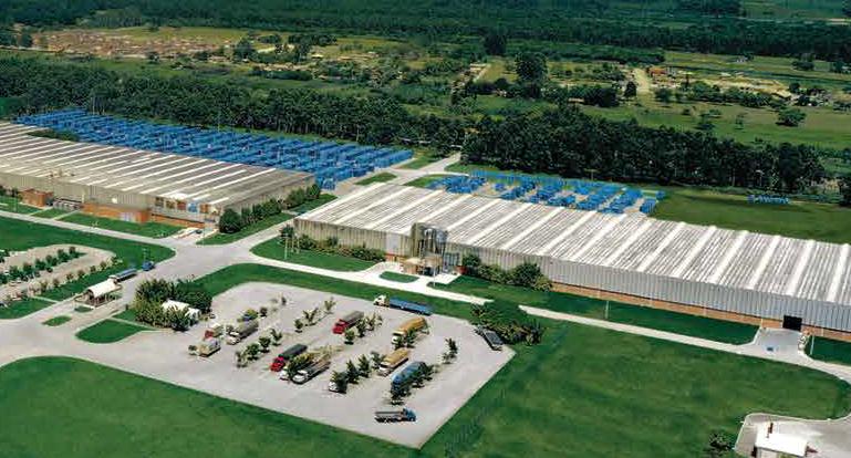 Portobello by mkt-ferco.com - Issuu