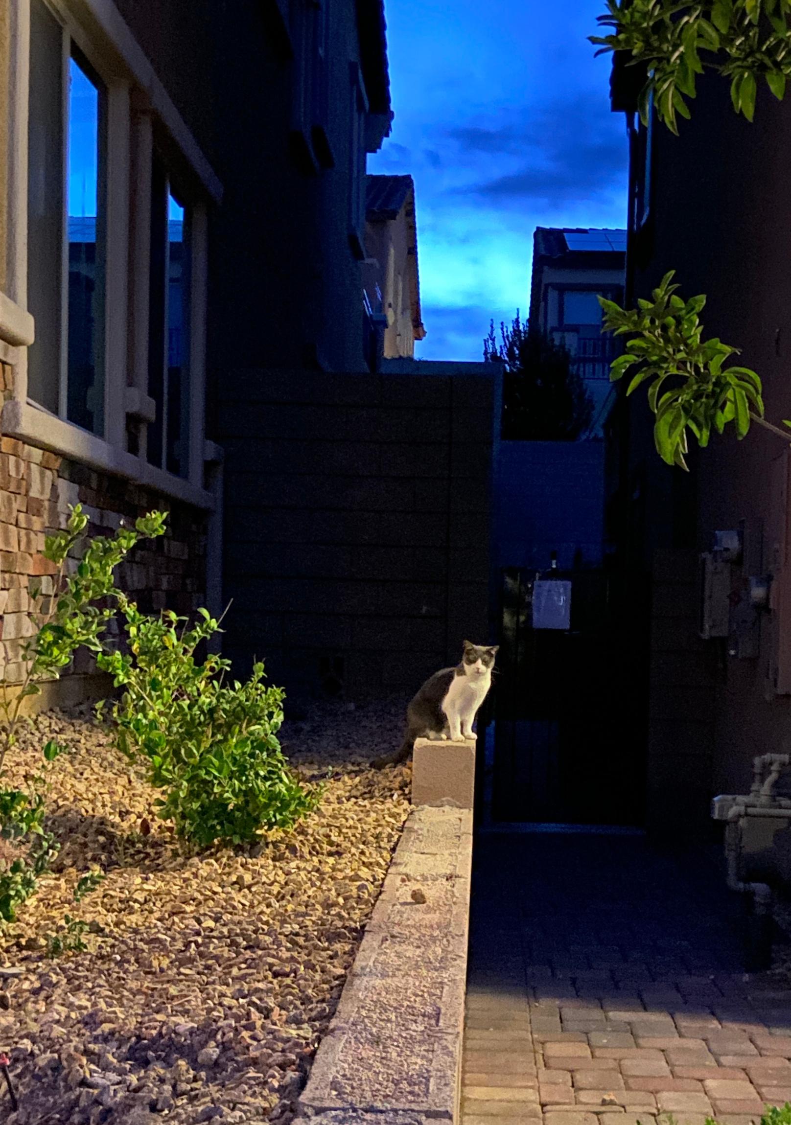 Crossroads - From the Brush Issue 2 by unlvfromthebrush - Issuu