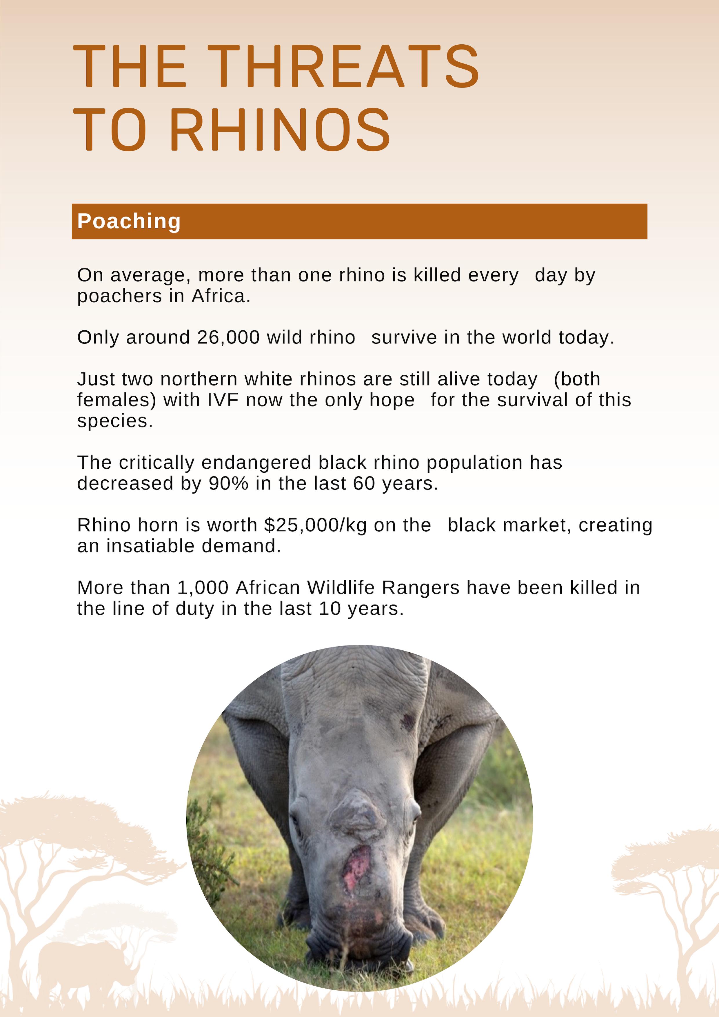 Helping Rhinos by helpingrhinos - Issuu