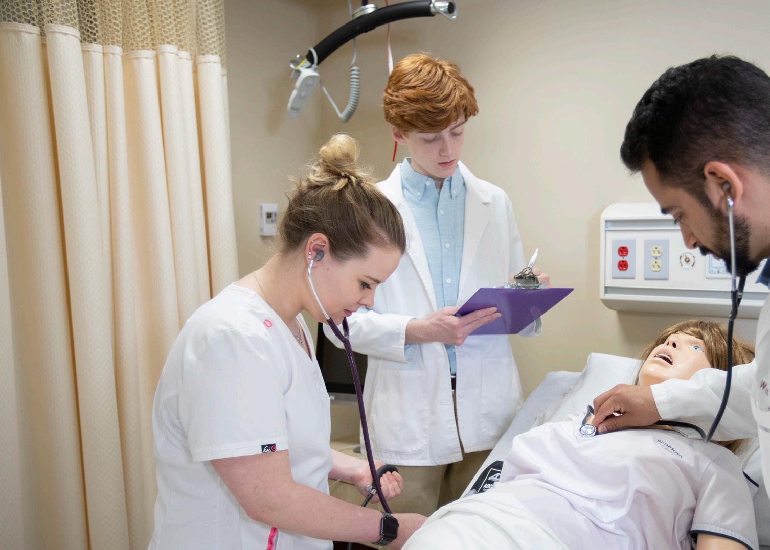 College of Nursing Info Sheet by Niagara University - Issuu