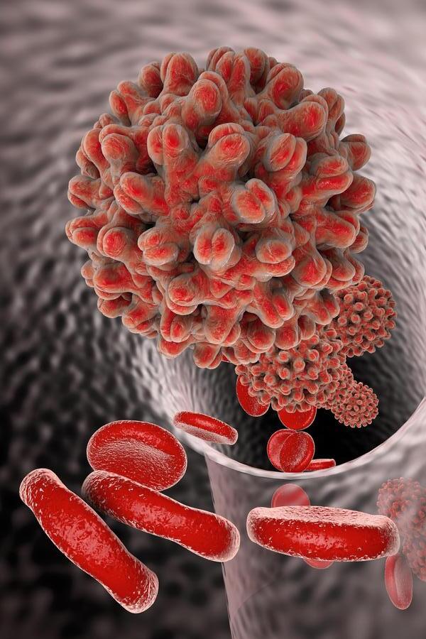 VHB (VIRUS DE LA HEPATITIS B) - Issuu